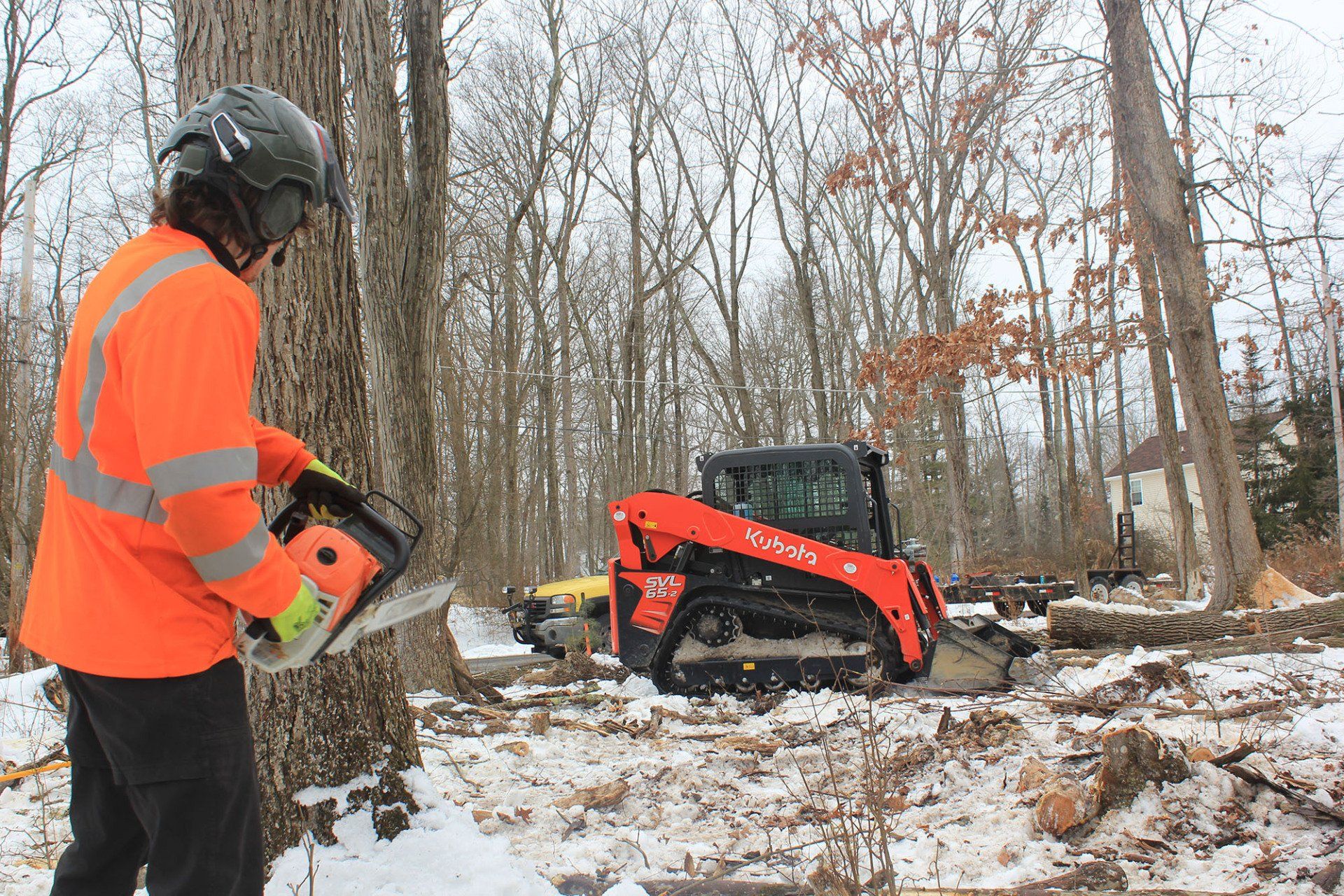 Backwoods Tree Service | Arborist | Stroudsburg, PA