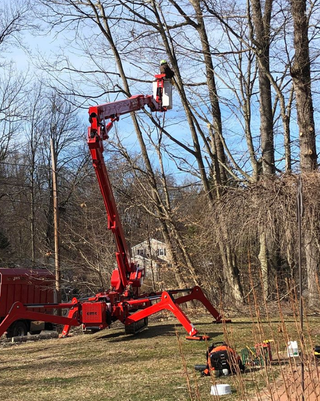 Quality Tree Care Service