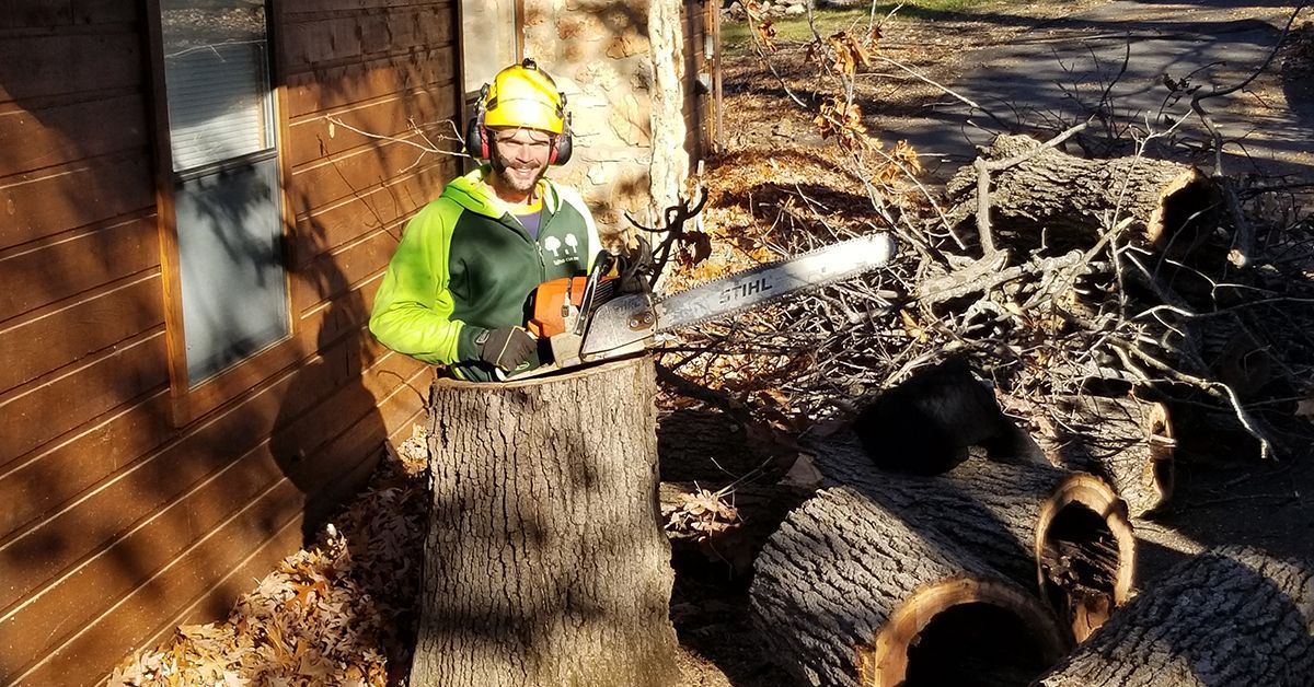 Colt Tree Service | Tree Services | Camdenton, MO