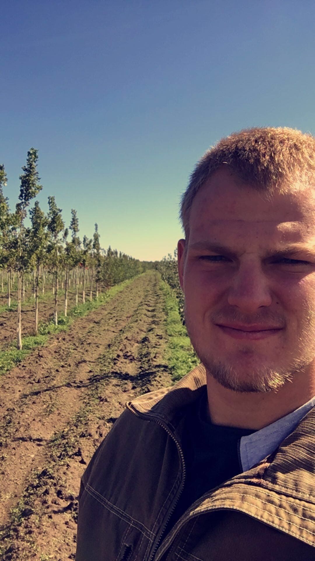Wellner Arboriculture Photo Gallery | Boyd, WI