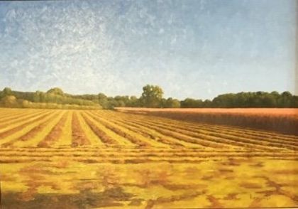 About Tandem Brick Gallery Signature Artists Des Moines Artist