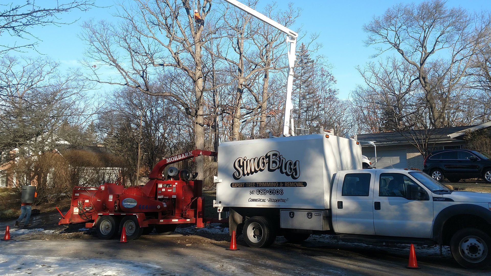 Simo Brothers | Tree Trimming and Removal | Deerfield IL | Highland Park IL