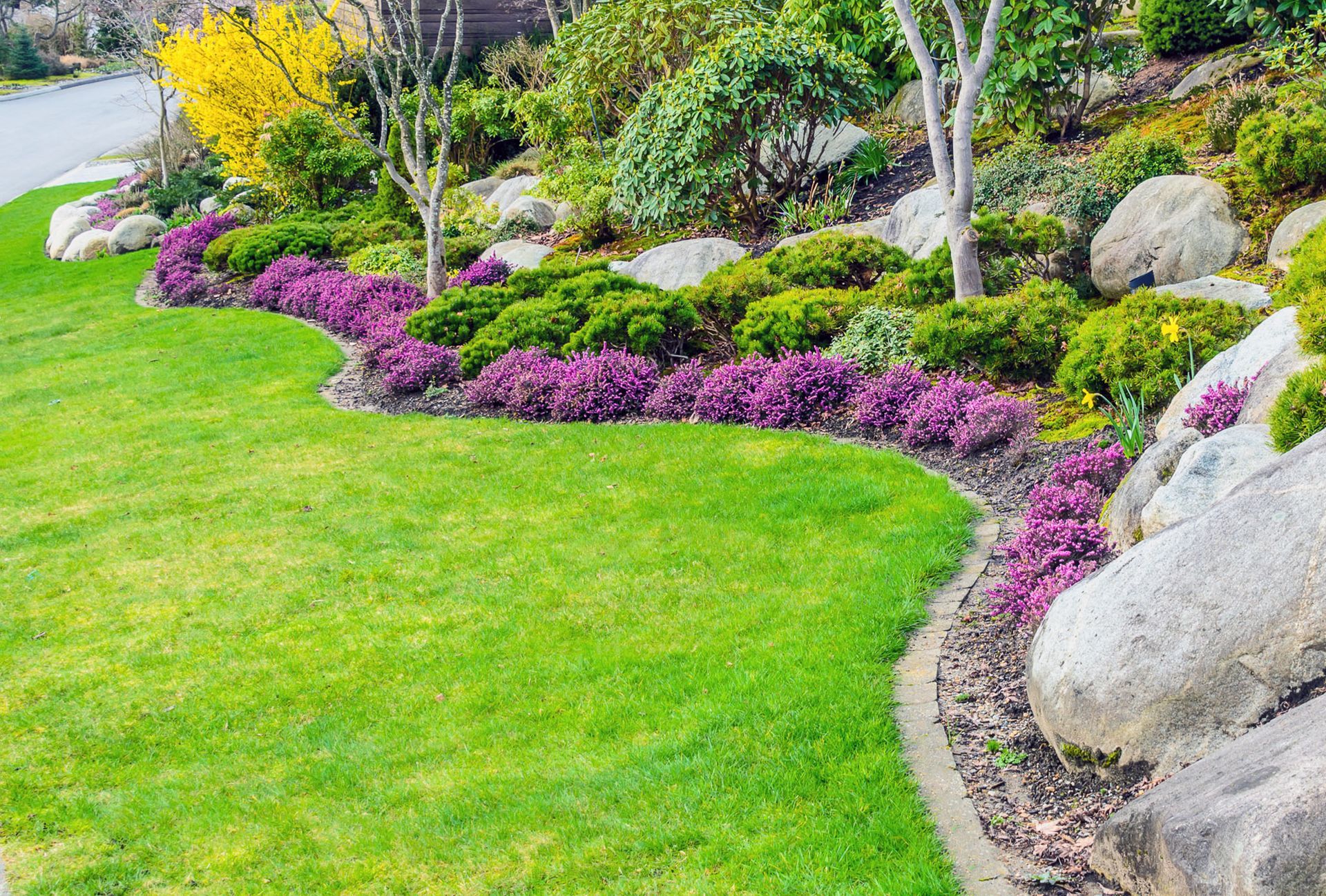 Team Sports Turf Professional Lawn Care & Landscaping Essex County NJ