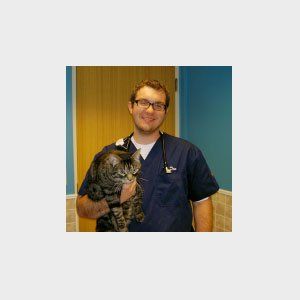 Stanglein Veterinary Clinic P.C. Staff | Northampton, PA