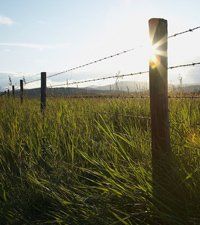 McPherson 4M Ranch | Guided Hunting | Sonora, TX