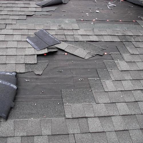 Signs of Roof Rot and How To Spot It