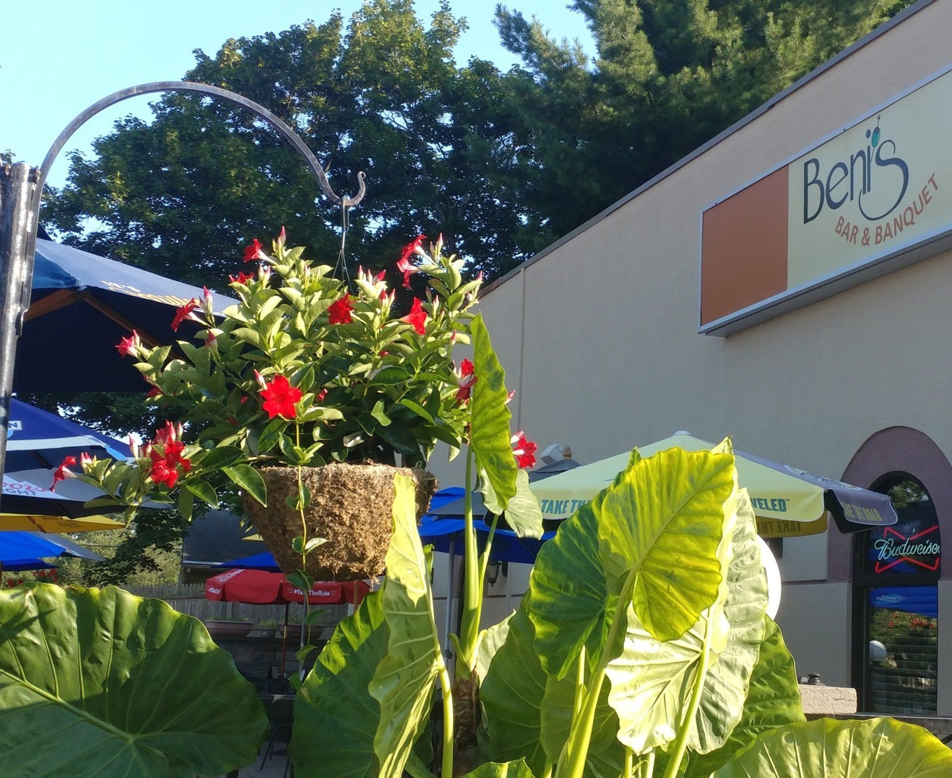 Photo Gallery | Beni's Restaurant, Bar & Banquet