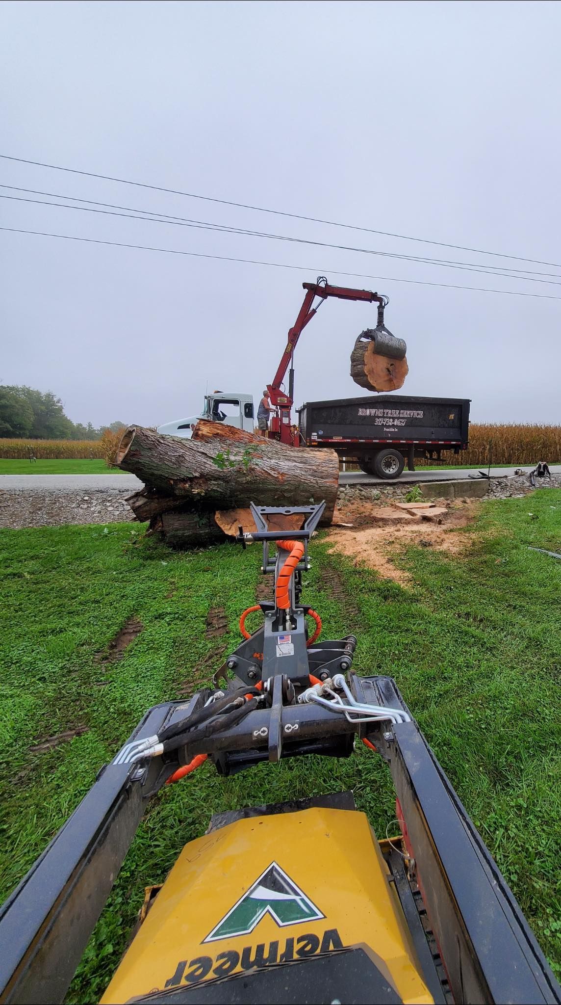 Tree Removal Franklin | Greenwood | Brown's Tree Service LLC