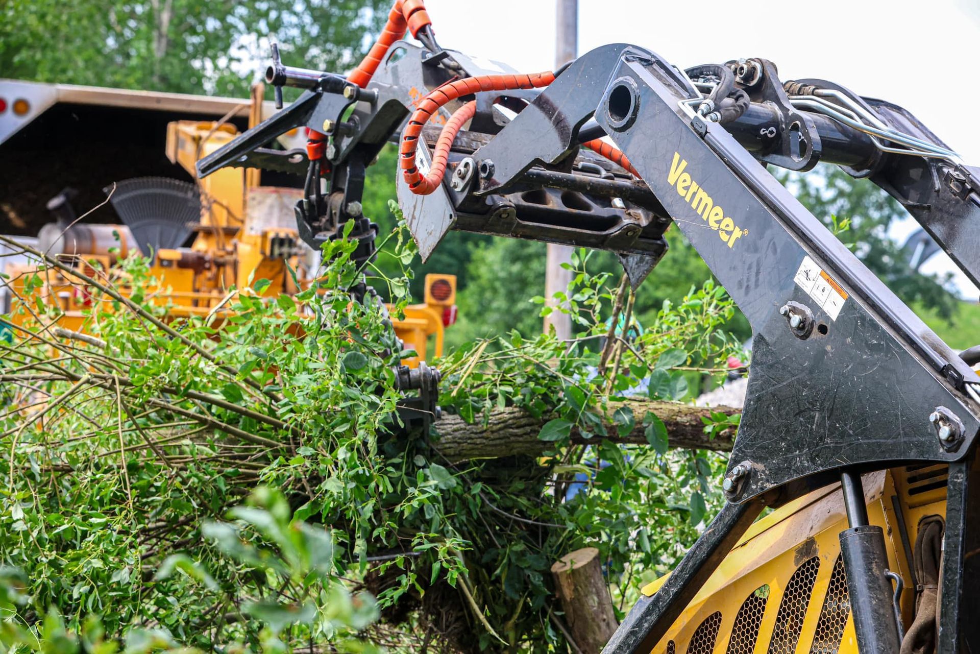 Tree Removal Franklin | Greenwood | Brown's Tree Service LLC