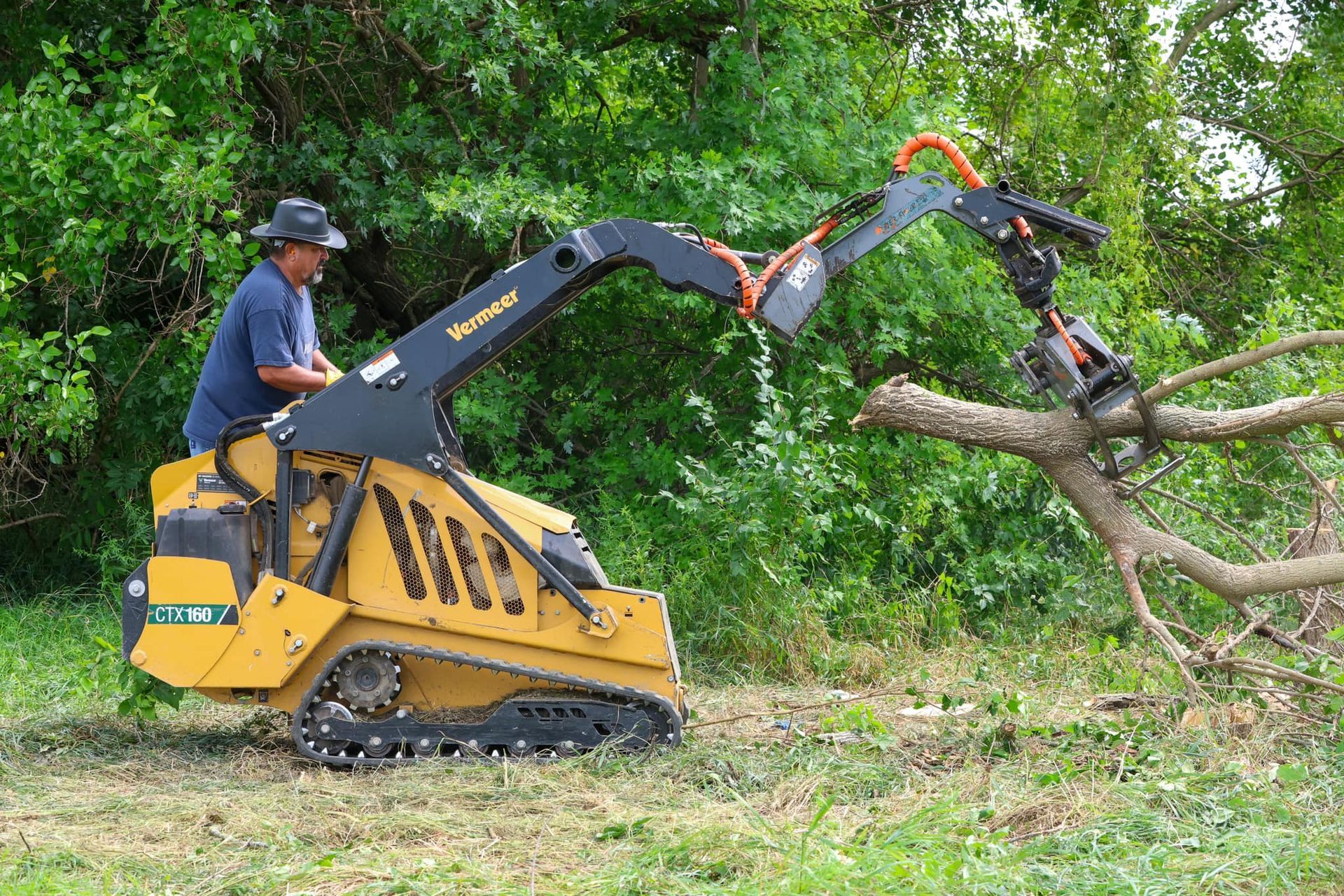 Tree Removal Franklin | Greenwood | Brown's Tree Service LLC