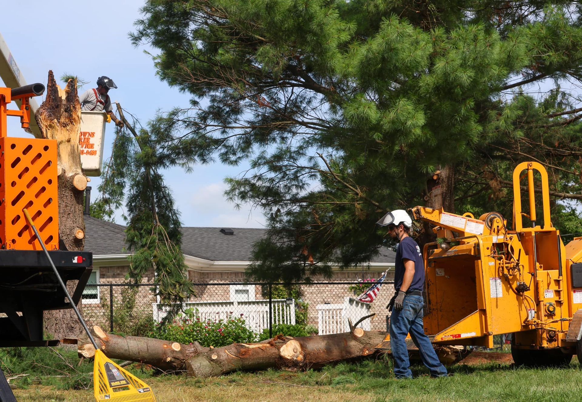Tree Removal Franklin | Greenwood | Brown's Tree Service LLC