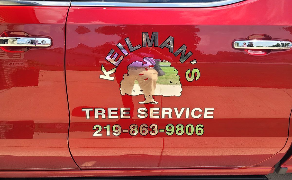 Tree Removal | Keilman's Tree Service LLC | Crown Point, IN