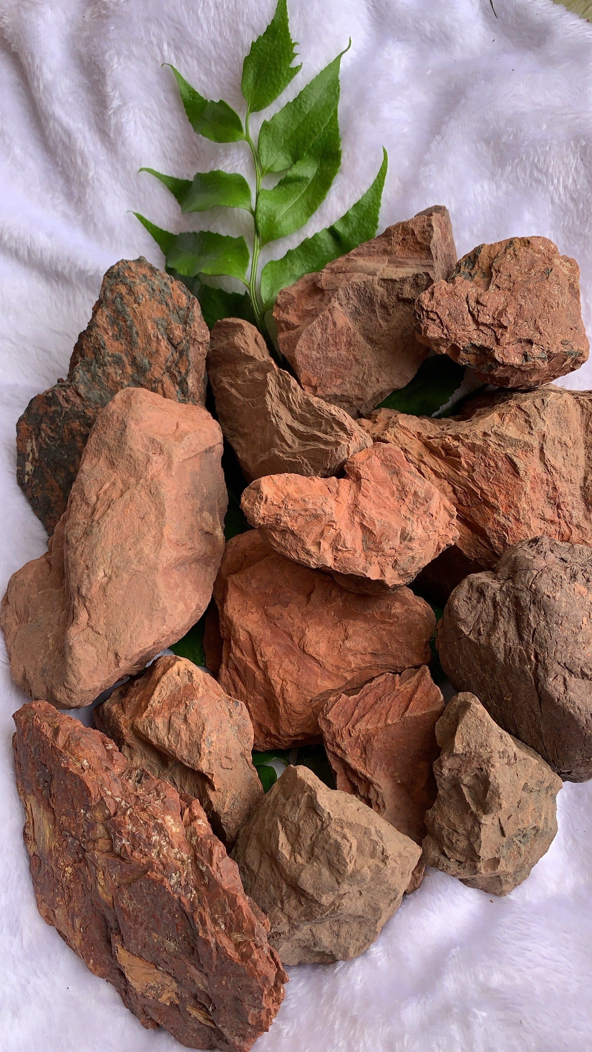 The Grass & Rock Shoppe | Landscaping Services Lafayette LA