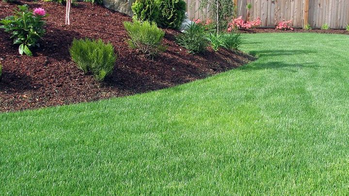 The Grass & Rock Shoppe | Landscaping Services Lafayette LA