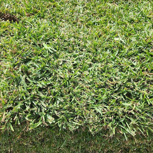Nursery Estrada's Garden Center Brazoria County and Fort Bend County