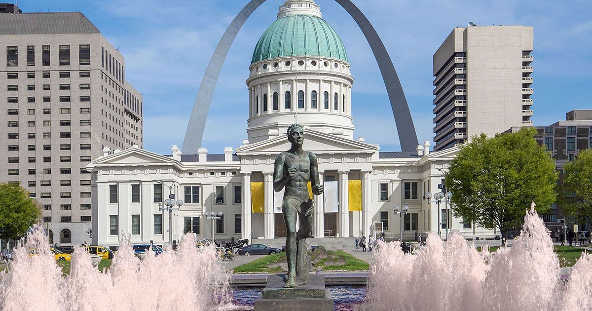 Fly Control Solutions | Belleville, IL