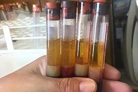 Naturopathic Medicine | Bloom Natural Health | Encinitas, CA