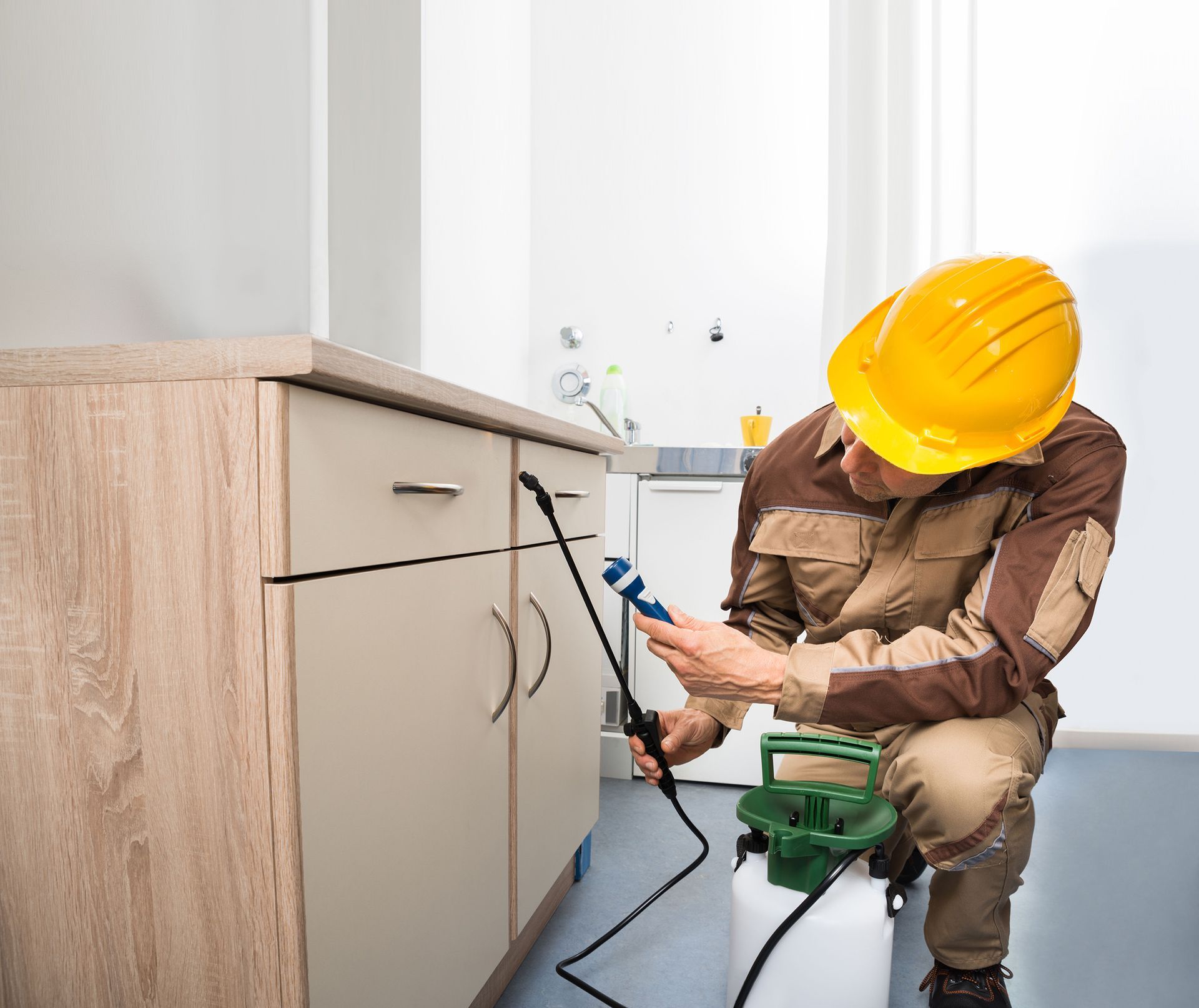 Maintenance Pest Control Services | Southeast Arizona