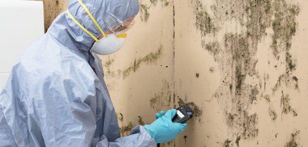 Mold Removal | Moisture Control | Nashville, TN