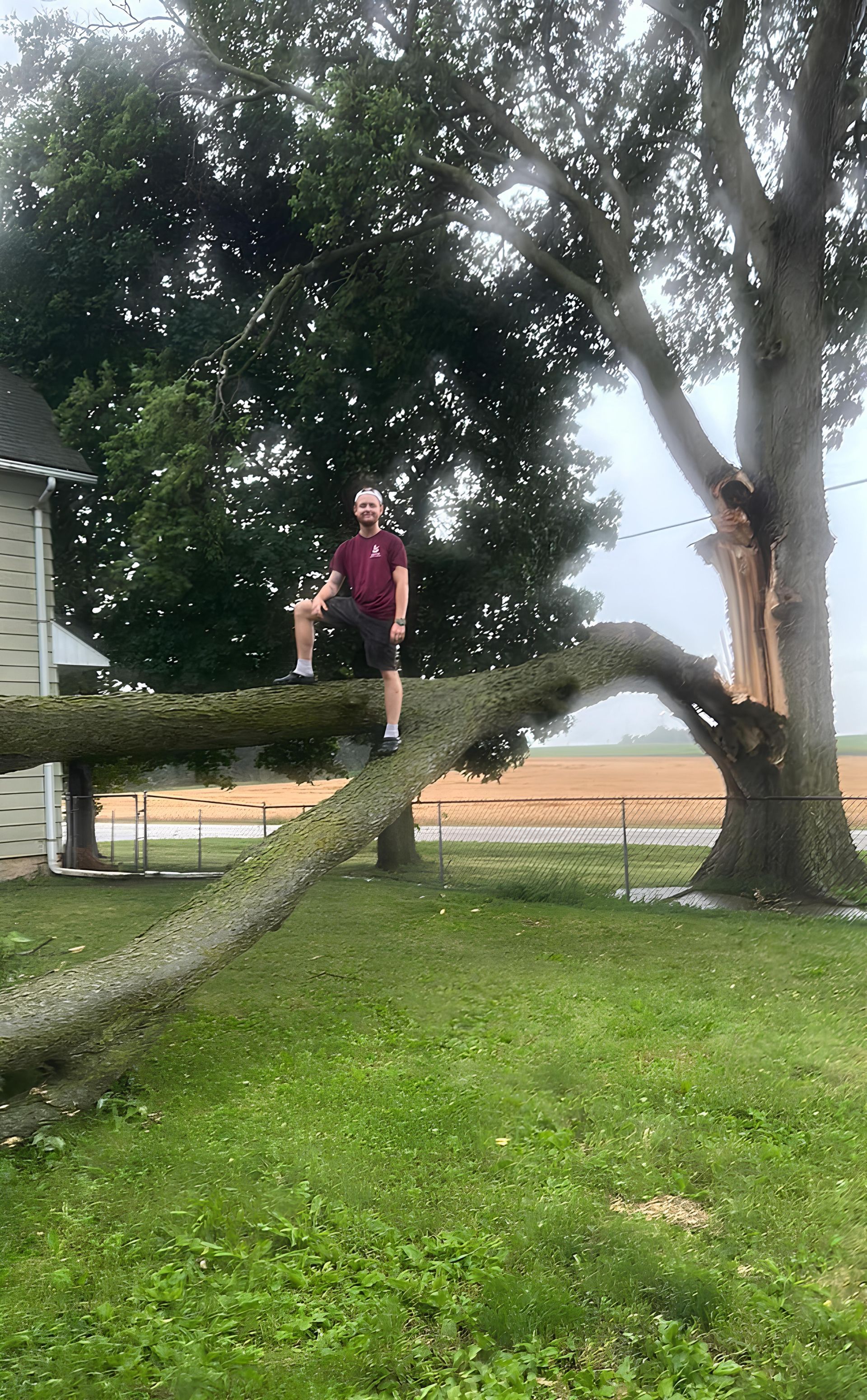 Tree Danger Signs You Shouldn’t Ignore: How to Inspect Trees Before It ...