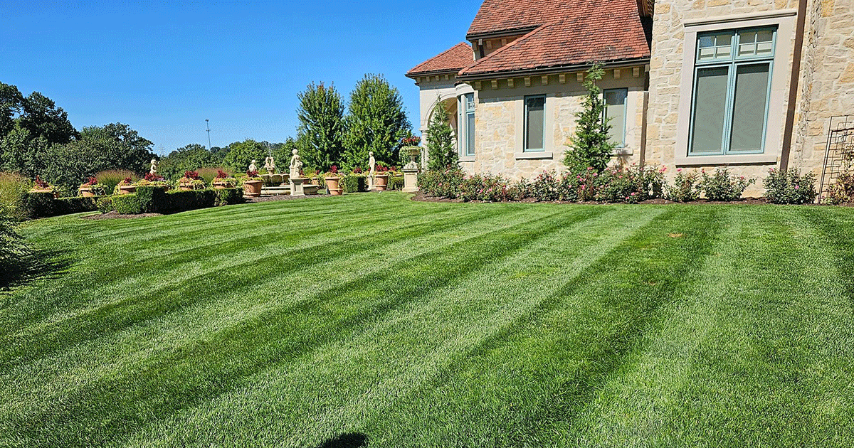 Adler Tree & Landscaping Service | Pittsburgh