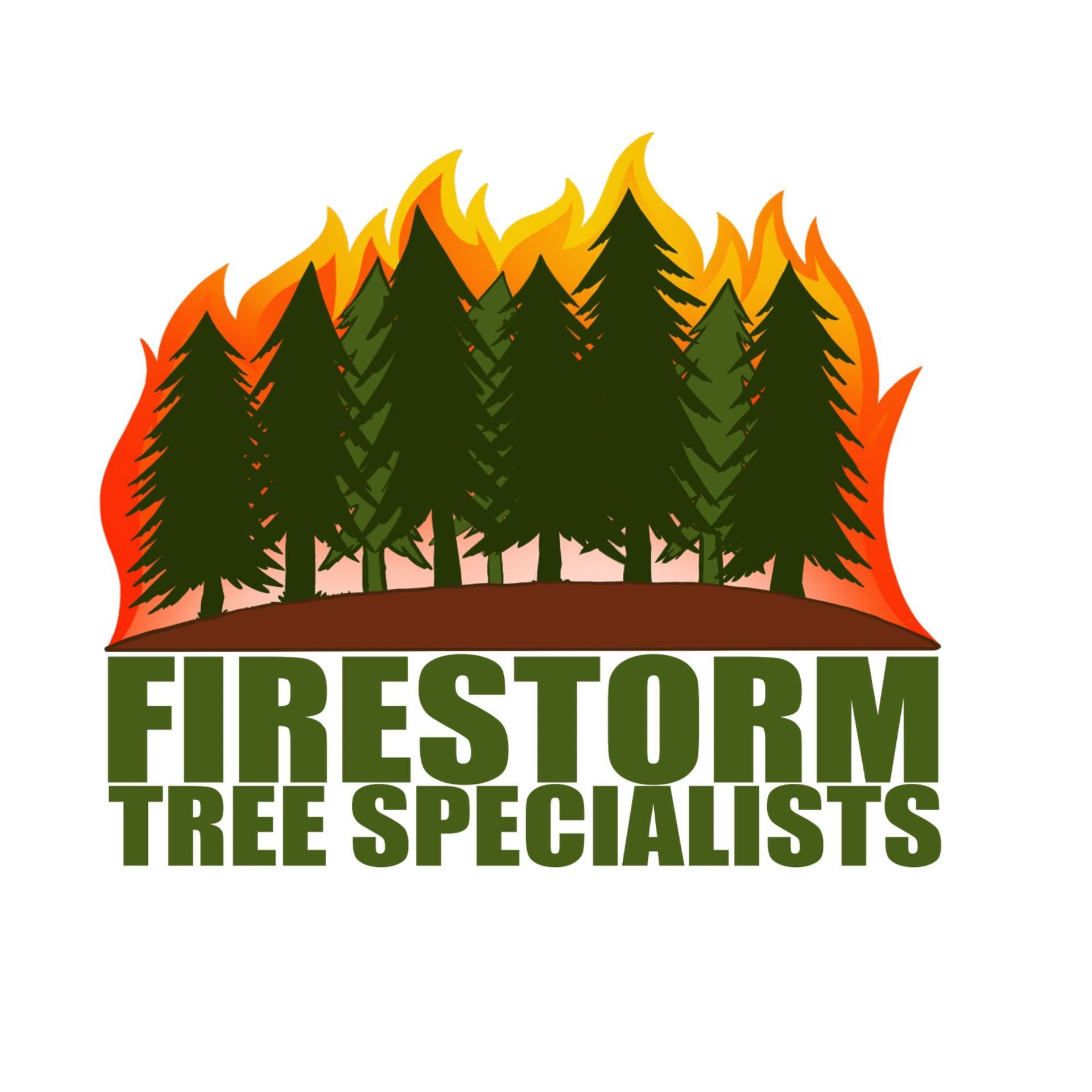 Lightning Protection Systems | Firestorm Tree Specialists