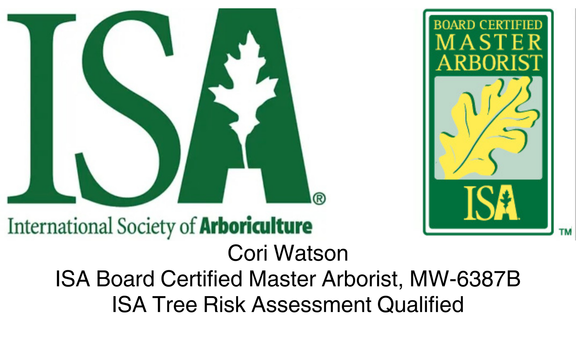 Firestorm Tree Specialists | Tree Services | Oklahoma City, OK