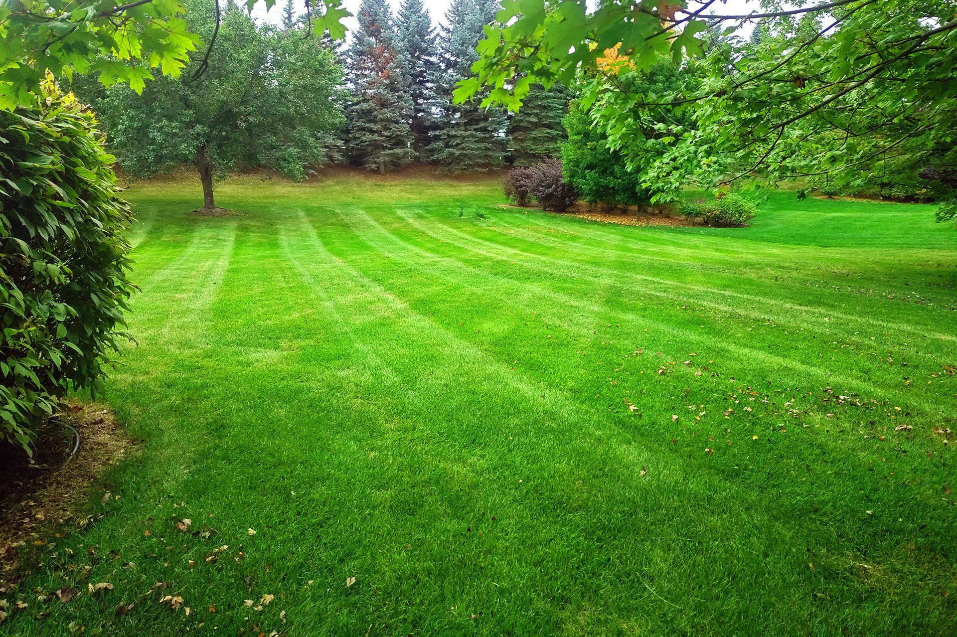 Commercial Lawn & Maintenance Services | Eco Lawns | Ypsilanti, MI