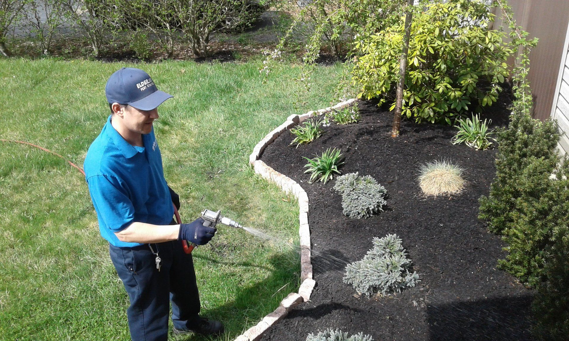 Exterminator | ELDER Pest Control | South Jersey Area