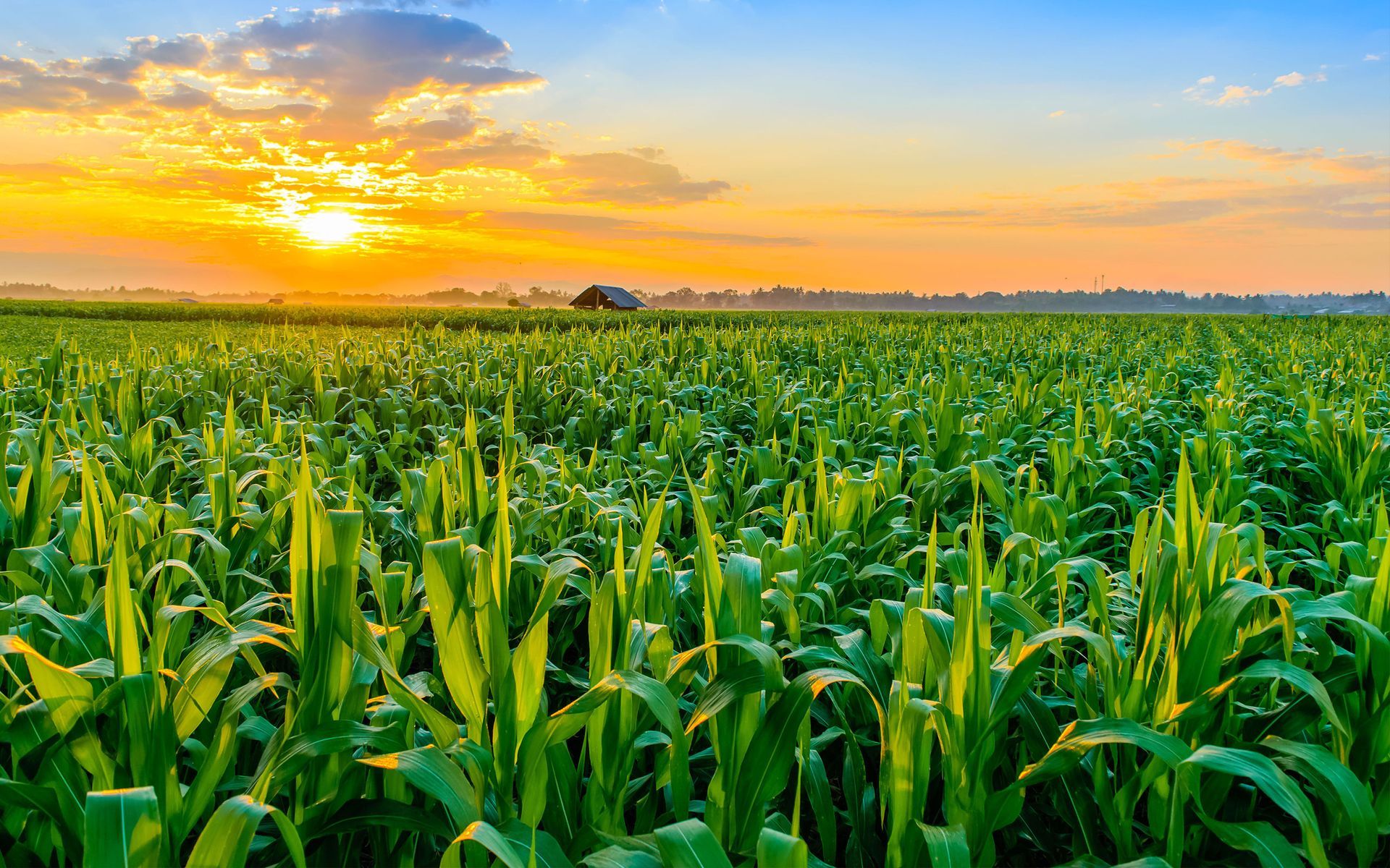 Agriculture Retail | The Agronomy Center | Thompsontown, PA