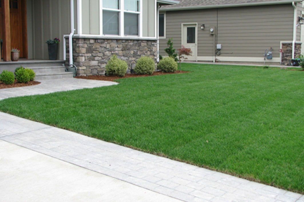 Isaac’s Tree Service Photo Gallery | Ontario