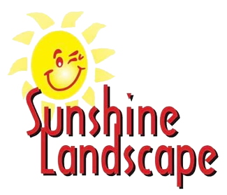 Name Sunshine Landscape