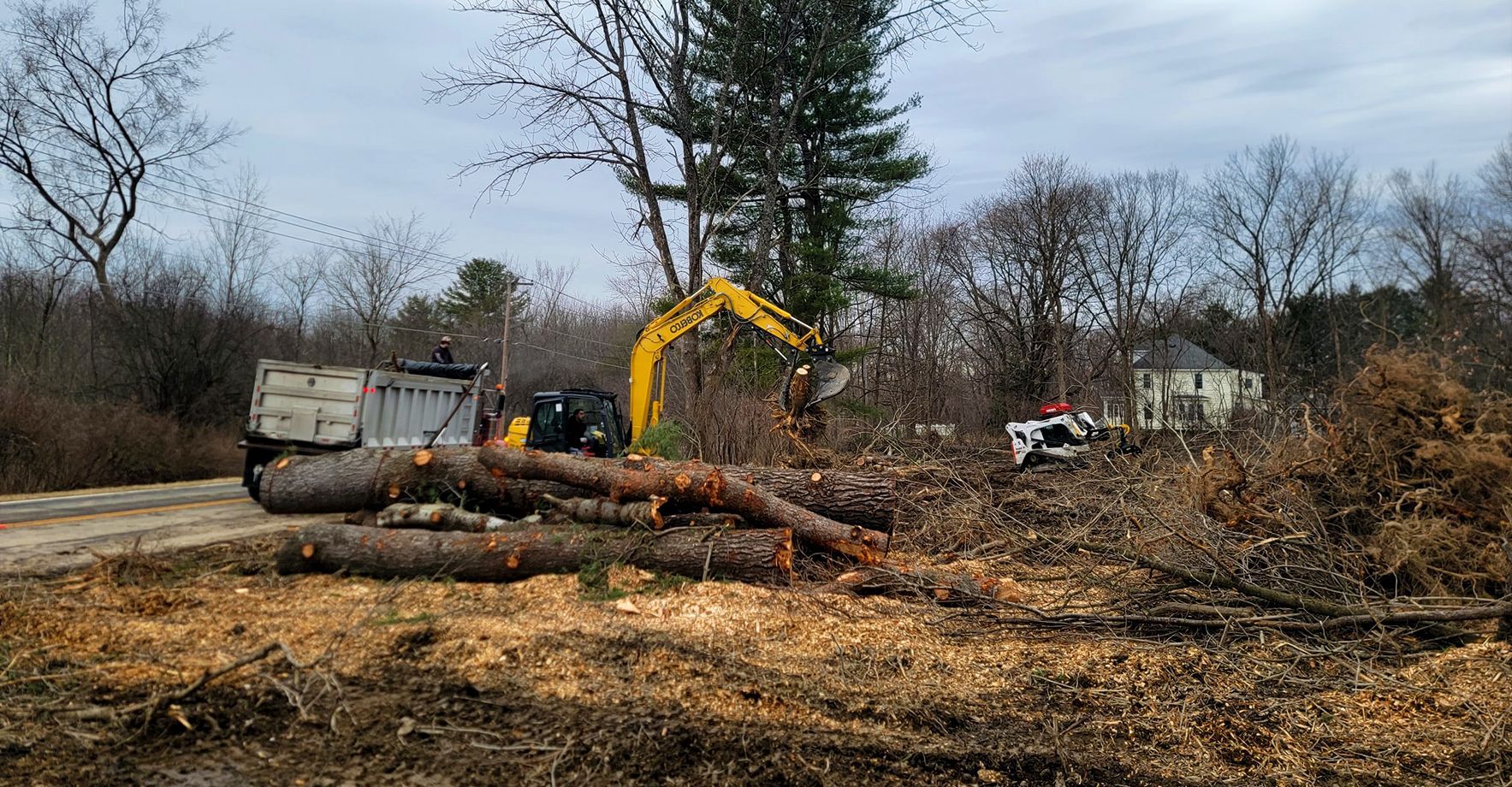 Tree Services | L&S Forestry Services LLC Coeymans Hollow NY