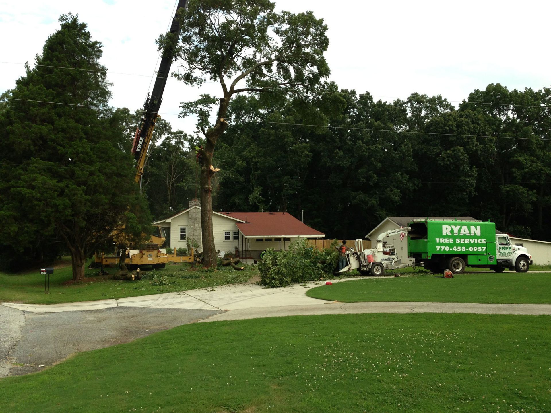 Tree Removal Service Lilburn, GA | Ryan Tree Service, Inc.