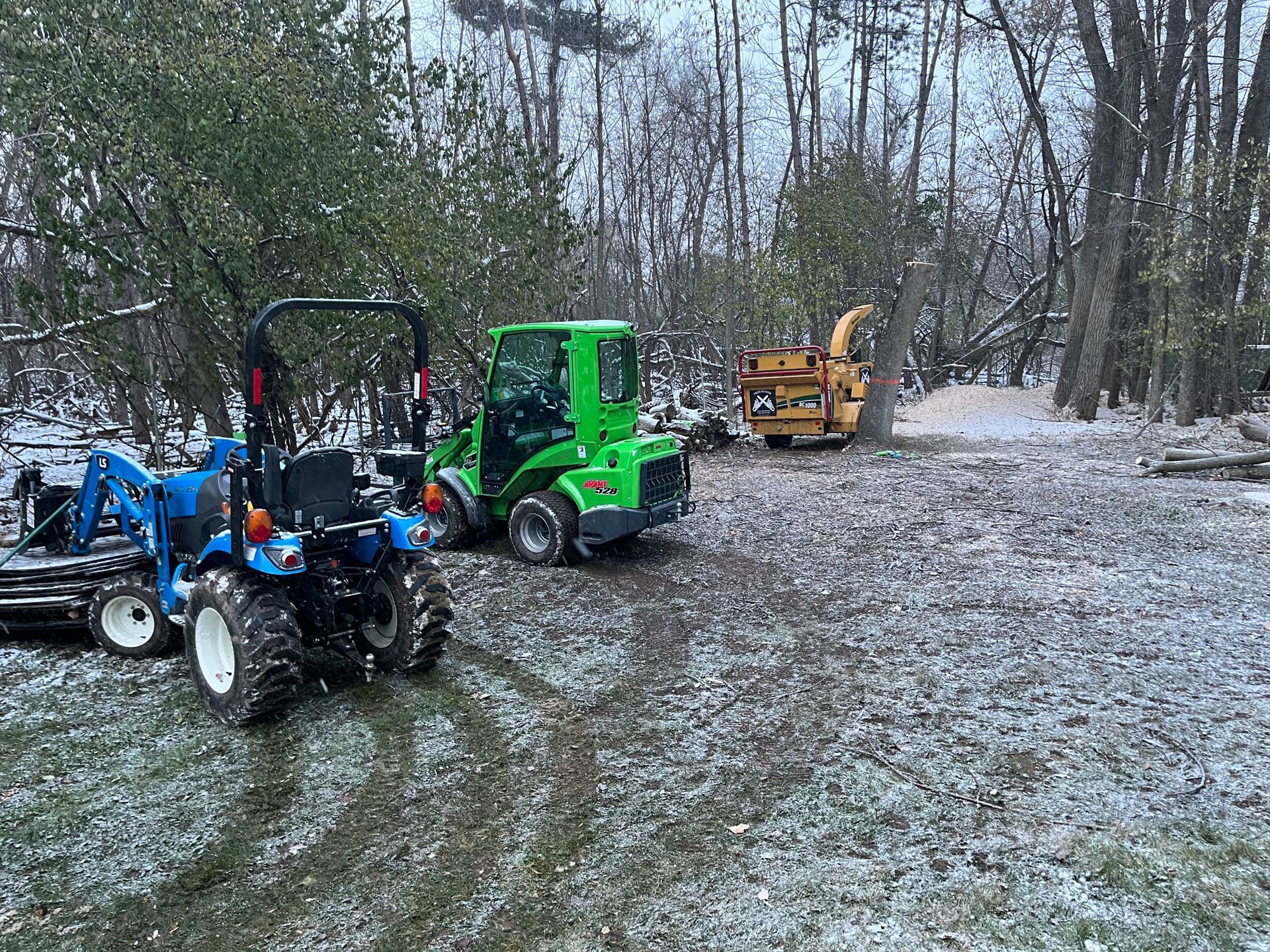 Photo Gallery | Tree-B-Gone of Green Bay