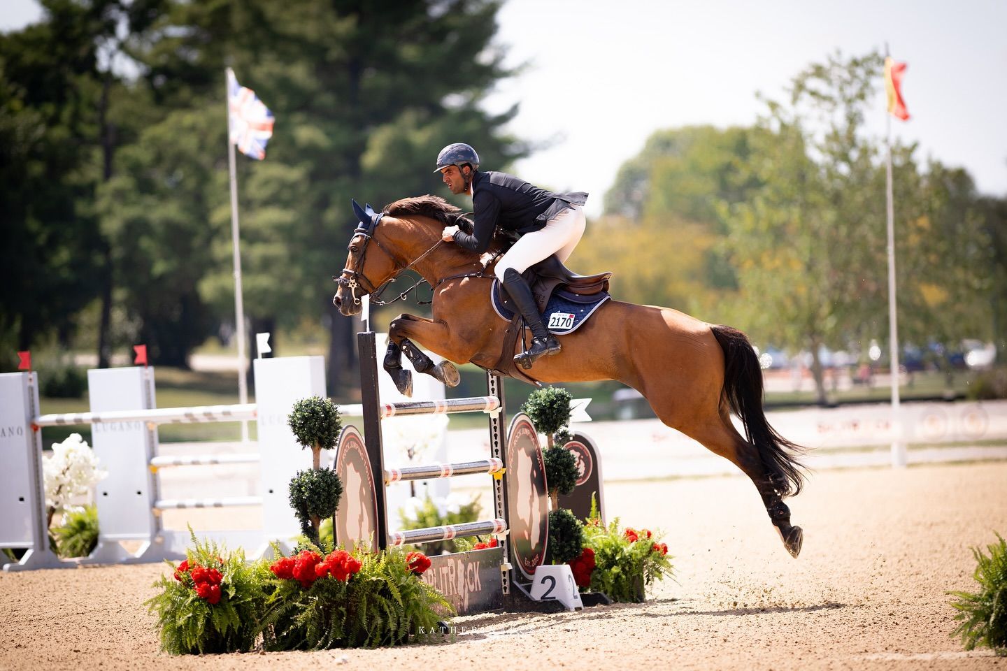 Riding Lessons | Wellington, FL