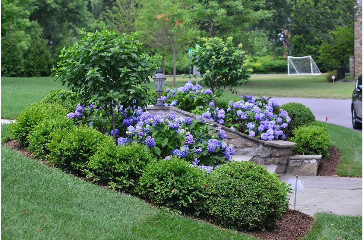 Landscape Project Gallery