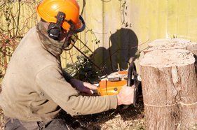 Bishop's Tree Service | Tree Services Virginia Beach VA