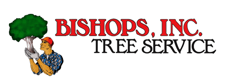 Bishop's Tree Service | Tree Services Virginia Beach VA