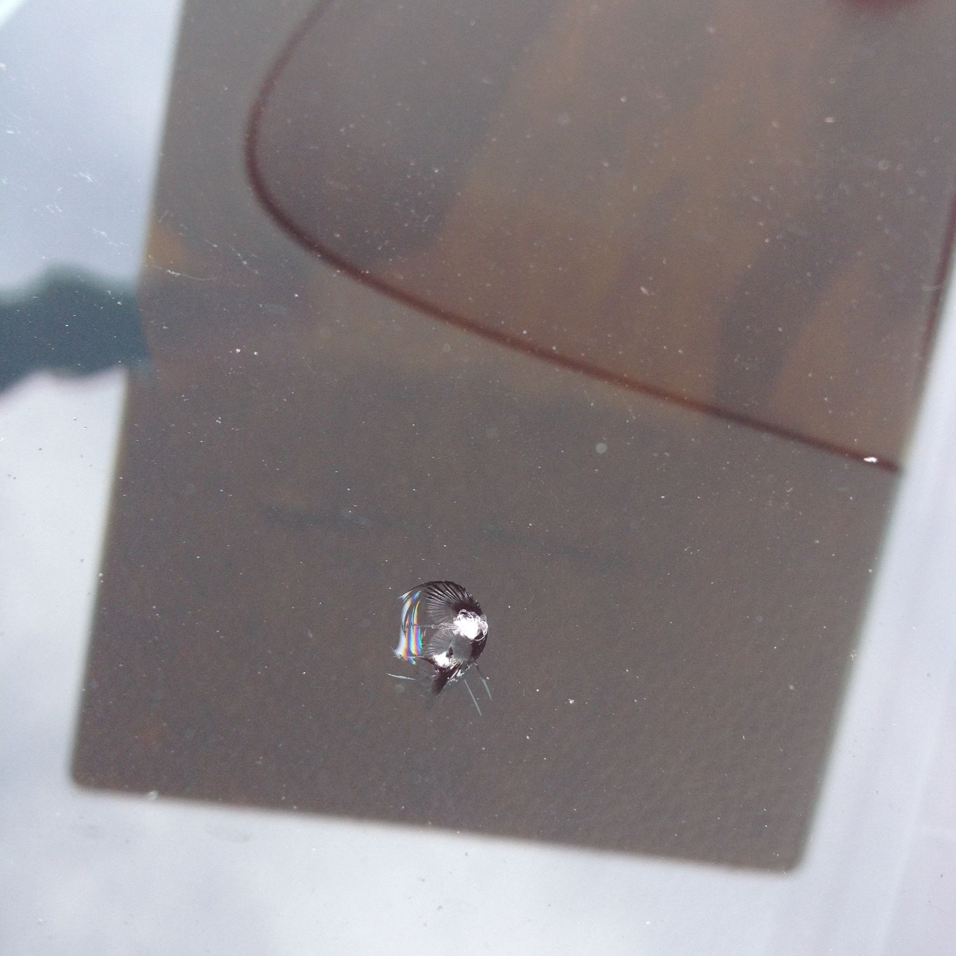 Gallery | Glass Monkey