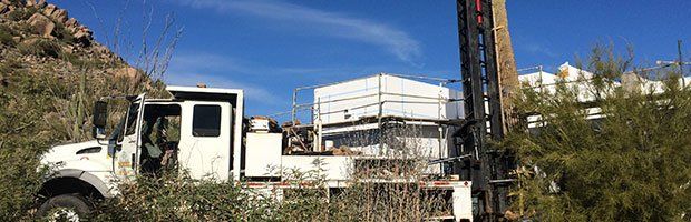 Tree Spading | Tree Transplantation | Scottsdale, AZ