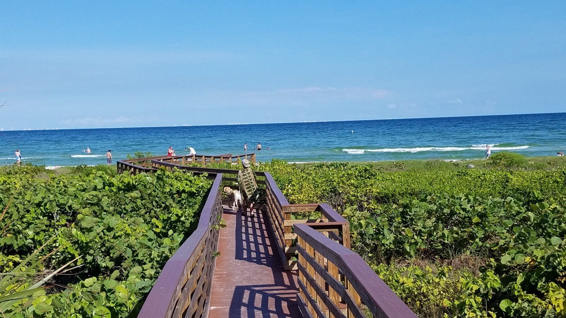 Beach Walkovers and Boardwalks