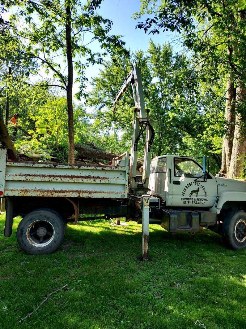 Tree Service | Rockford, IL | Wolf Bros Tree Service