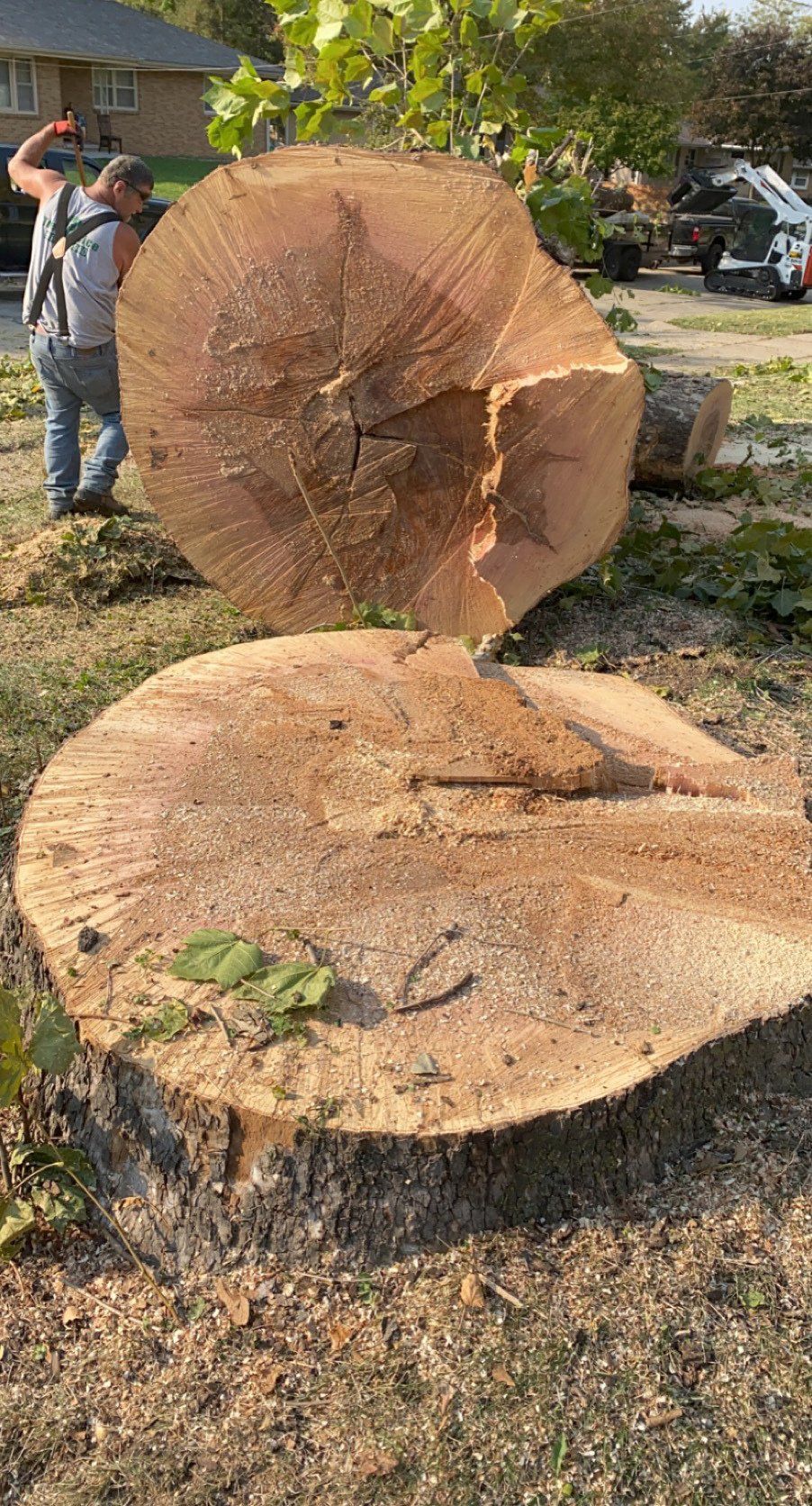 Tree Service Des Moines, IA | Central Tree Pros