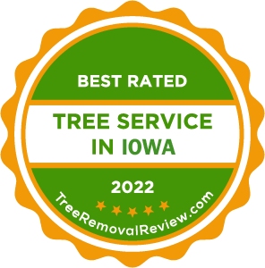 Tree Service Des Moines, IA | Central Tree Pros