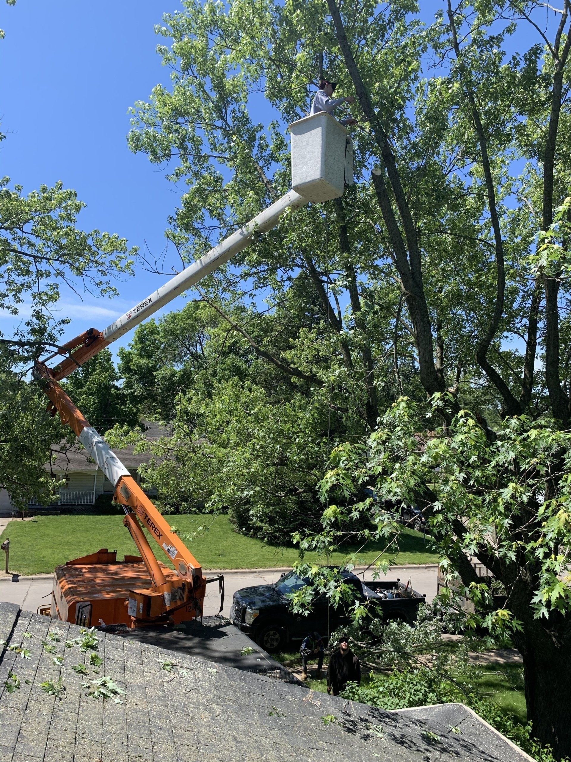 Tree Service Des Moines, IA | Central Tree Pros