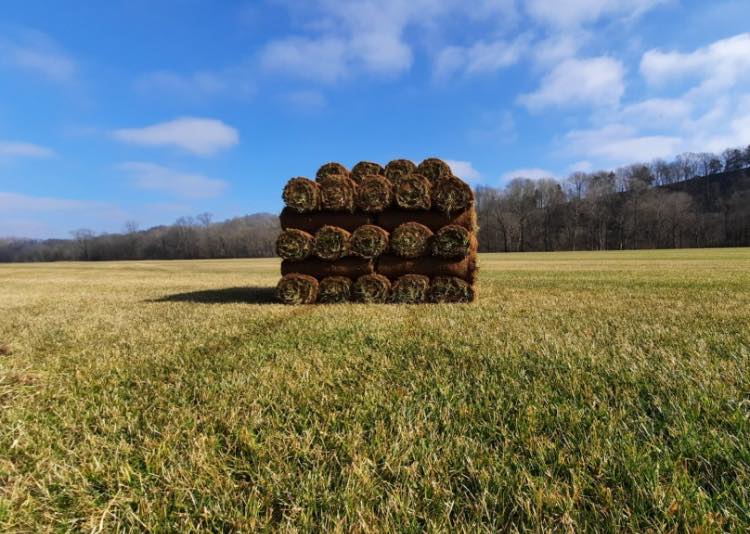 Iron Bridge Sod Farms | Sod Installation | Bowling Green, KY