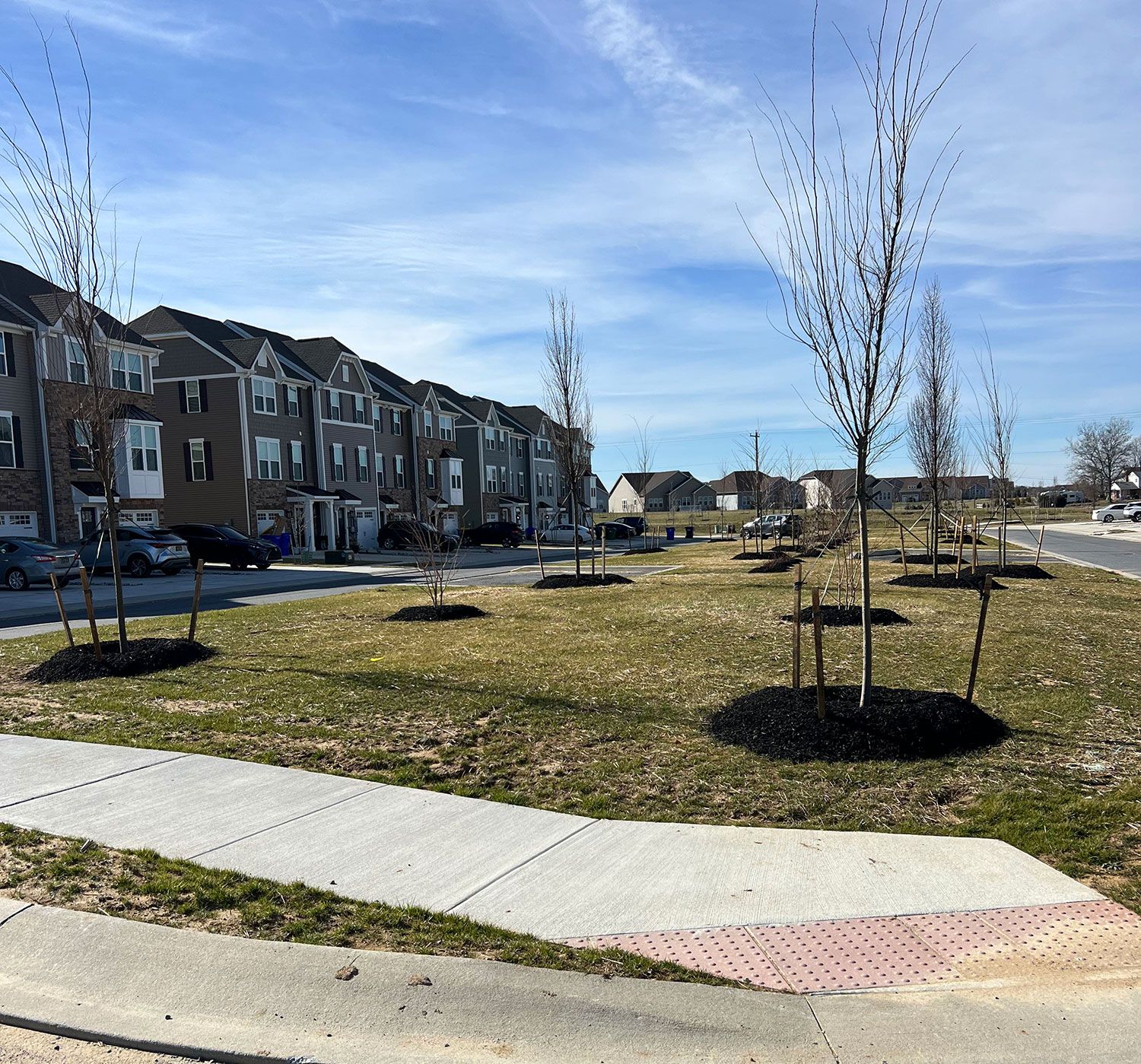 Landscapers | Chester River Landscaping | MD and DE