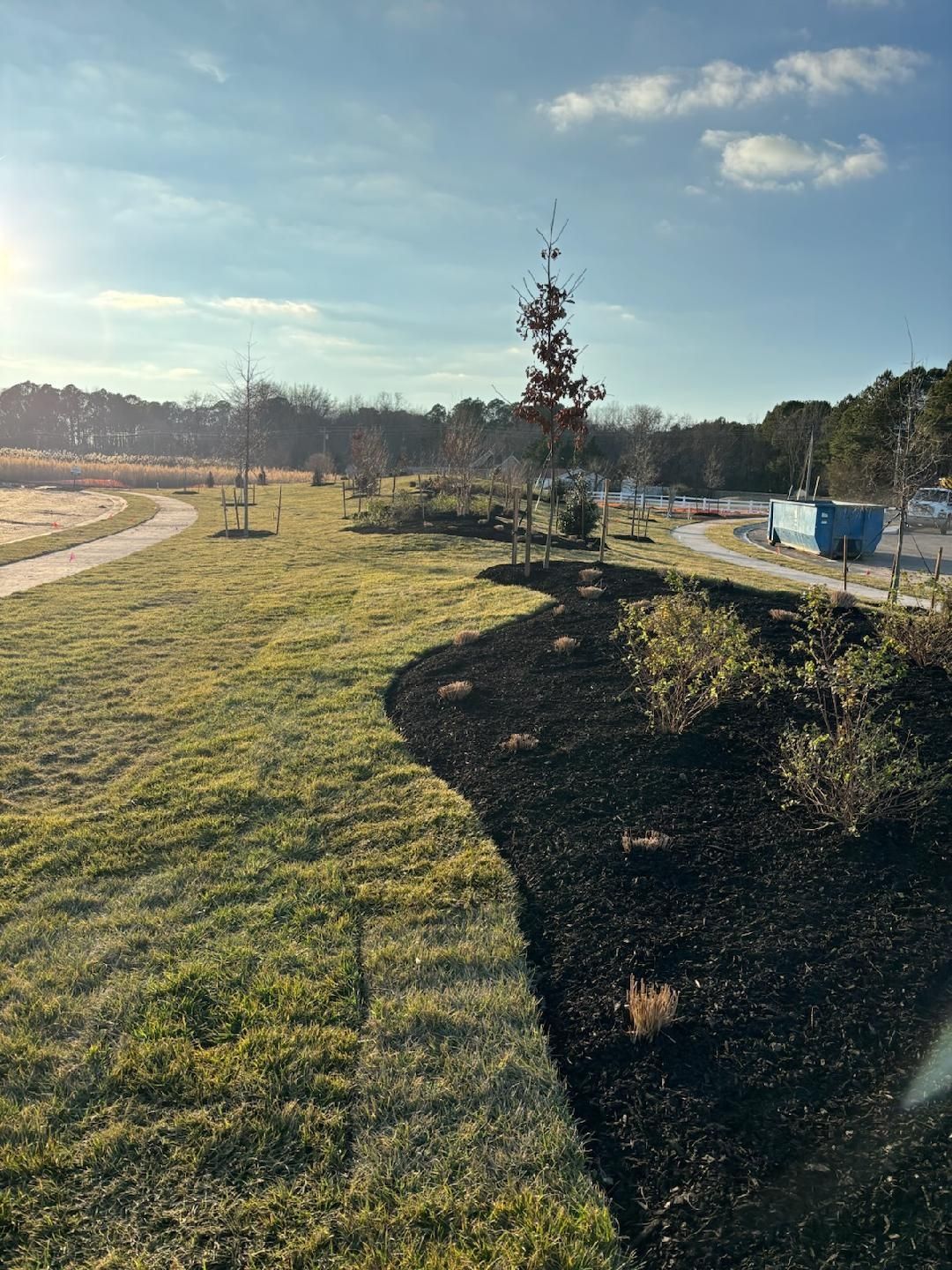 Landscaping Company Annapolis, MD | DE