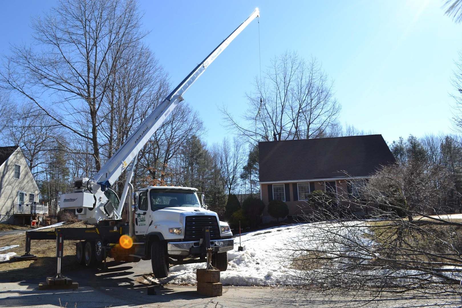 Image Gallery | Burke's Tree Service